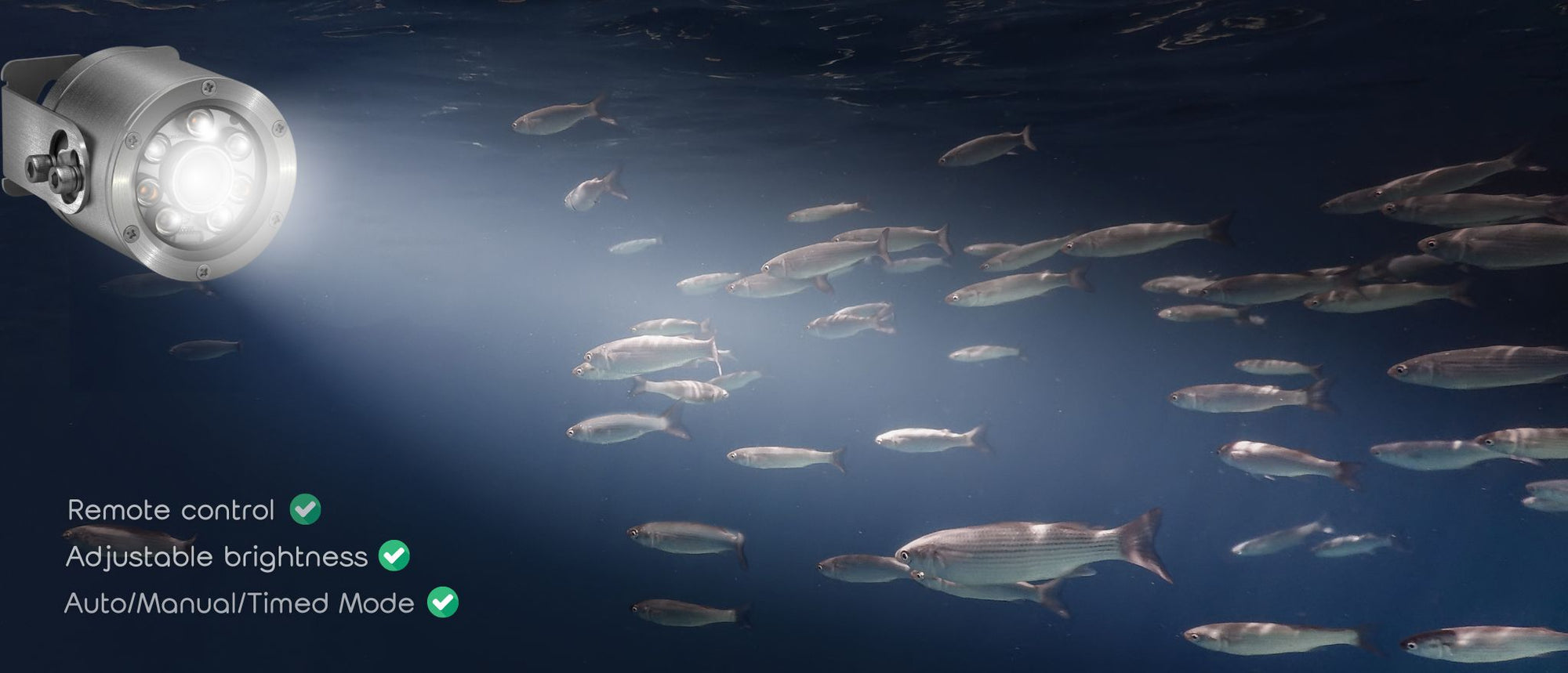 Development, production and sales of underwater cameras. – Barlus