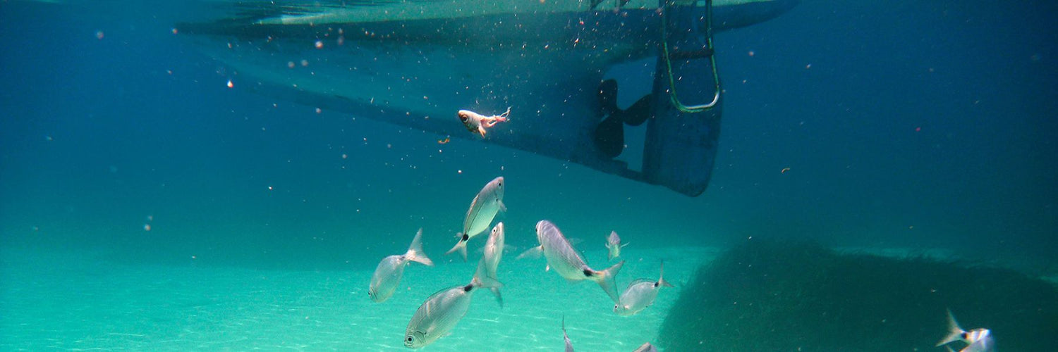 Development, production and sales of underwater cameras. – Barlus